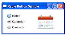 Learnprograming Byluckysir Creating Radio Buttons And Check Box Using Java Script