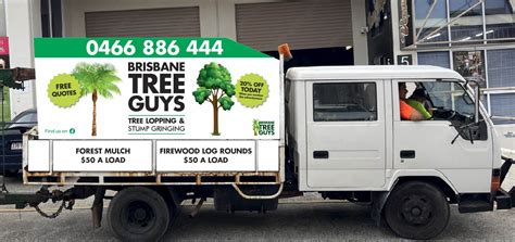 Home Brisbane Tree Guys