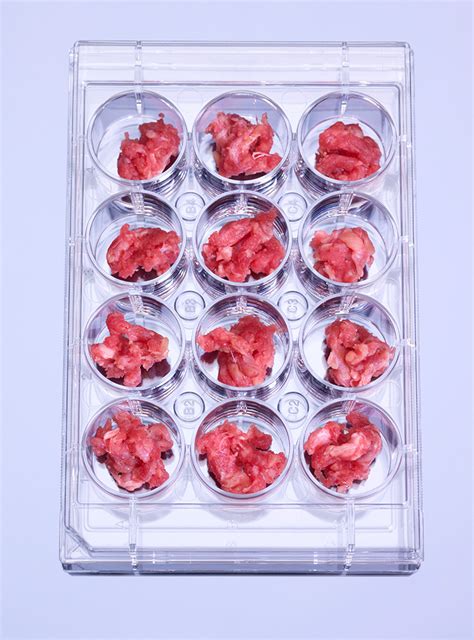 과연 배양육은 기후 위기 시대 인류를 구원할 열쇠일까 Food 읽을거리 에스콰이어 코리아 │ 패션 매거진 패션 잡지 남성지