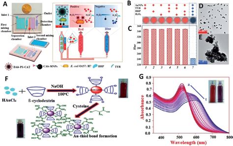 Aunp Based Optical Biosensors A E A Smartphone Based Biosensor For Download Scientific