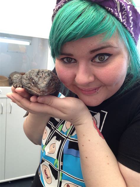 Stumpy Tail Carnival Face Paint Hair Styles Beauty