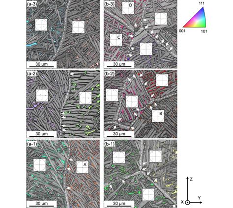EBSD orientation maps of β phase and α phase morphology in Y Z section Download Scientific
