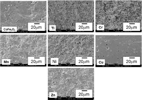Sem Micrographs For Different Compositions In The Co 09 Tm 01 Fe 2 O