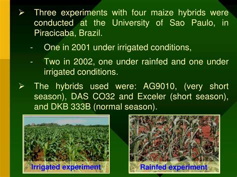 Ppt Crop Simulation Modeling Powerpoint Presentation Free Download