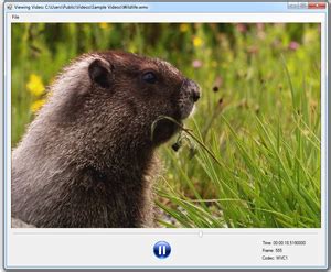 Video Files Emgu CV OpenCV In NET C VB C And More