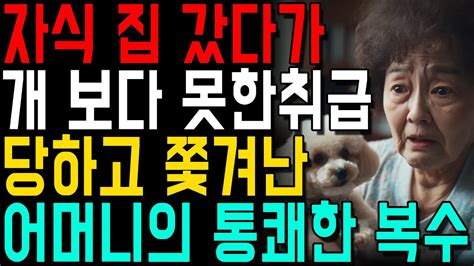 쫓겨난 어머니의 통쾌한 복수 Youtube