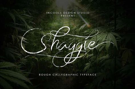 40 Best Curvy Fonts Curved Letter Fonts Envato Tuts