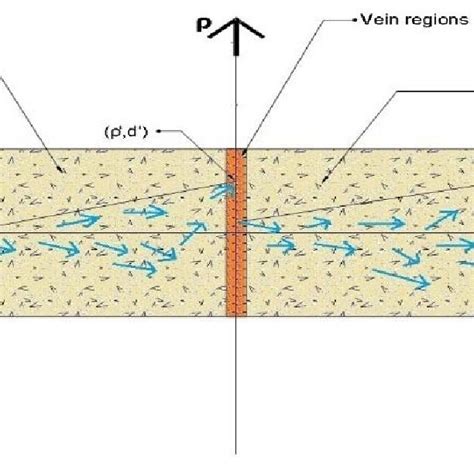 The Illustration Of Dual Layered Diffusion Model Download Scientific