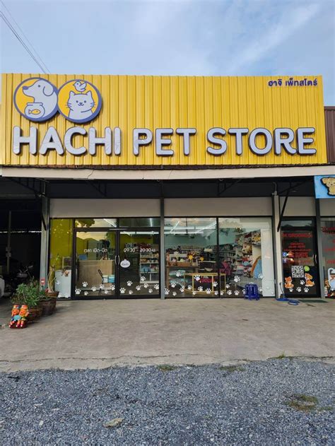 Hachi Pet Store ประเทศไทย ร้านค้าออนไลน์อย่างเป็นทางการ ช้อปเลยบน Lazada