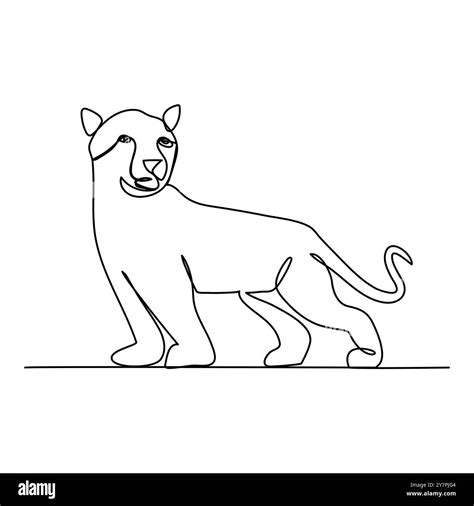 Continuous One Line Drawing Tiger Walking Symbol Art Continuous One Line Drawing Vector