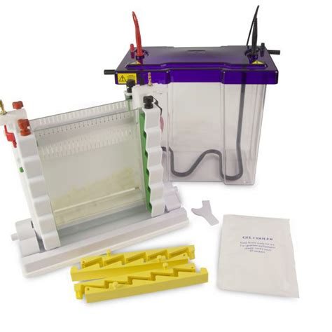 Vs20wave Maxi Dual Vertical Gel Electrophoresis Tank 20 X 20cm