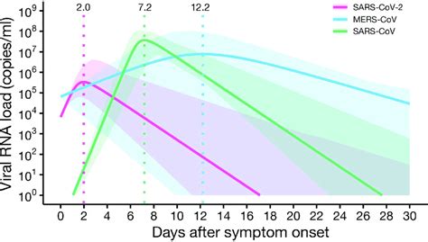 Comparison Of Sars Cov 2 Mers Cov And Sars Cov Dynamics Expected Download Scientific Diagram