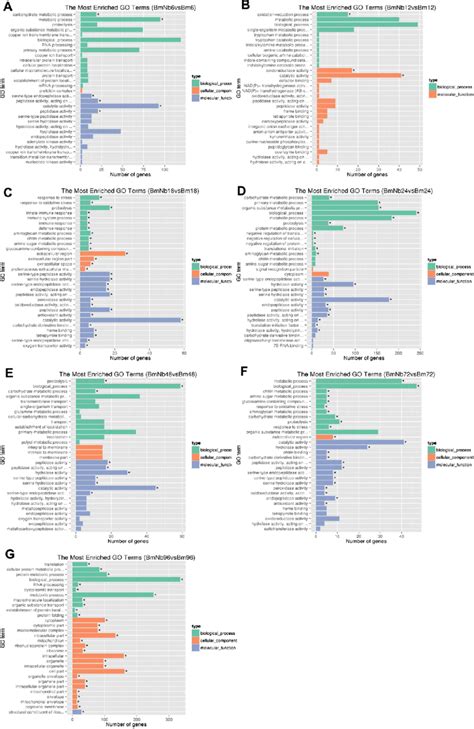 Go Enrichment Analysis Of The Degs Download Scientific Diagram