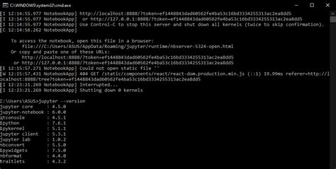 cant open my jupyter file 404 get static components react react dom