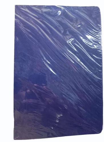 Blue Leaf File Folders At Rs 50 Piece In New Delhi Id 2853065252448