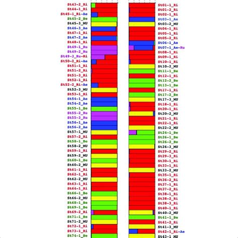 Group Assignment Through Bayesian Clustering Analysis With Prior