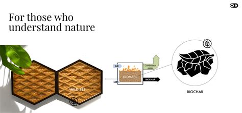 Biochar