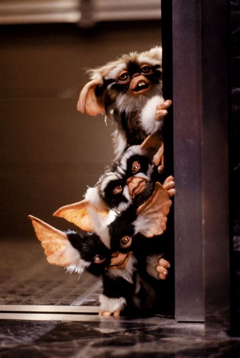 Crazy Gremlin´s Lekpu