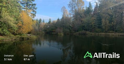 Whatcom Creek West Washington 29 Reviews Map Alltrails