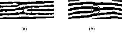 figure 1 from a new ridge orientation based method of computation for