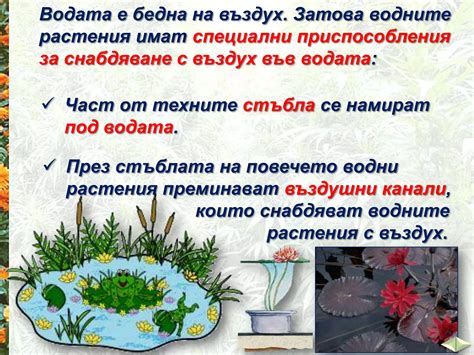 Растенията и тяхната среда на живот ЧП 3 клас Булвест Pptx