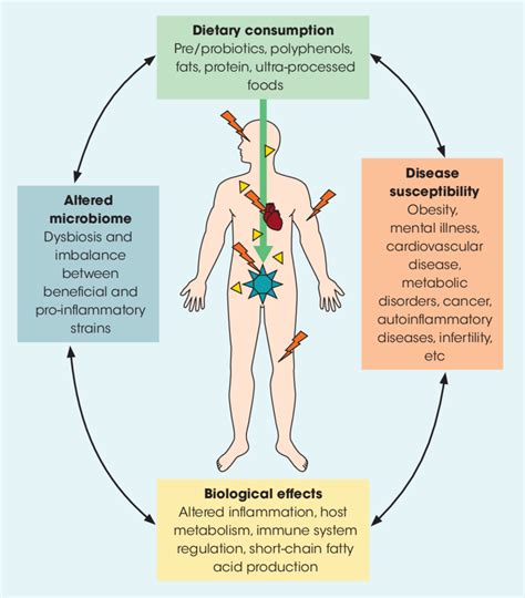 Diet Microbiome Interactions And Their Wider Impact On Health Download Scientific Diagram