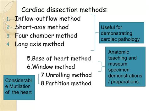Autopsy Dissection Of Heart And Spinal Cord Pptx