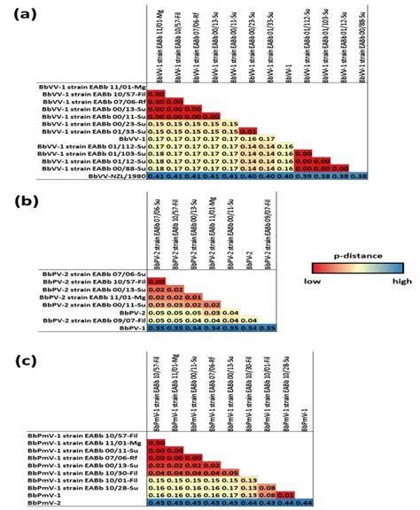 Figure S Pairwise Distance Matrix Created Based On The RdRP Download Scientific Diagram