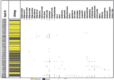 Distribution Chart Of The Foraminiferal Taxa In Ktm6 Download