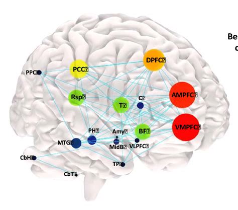 Graph Theory Analysis Of Structural Connectivity The Node Size Download Scientific Diagram