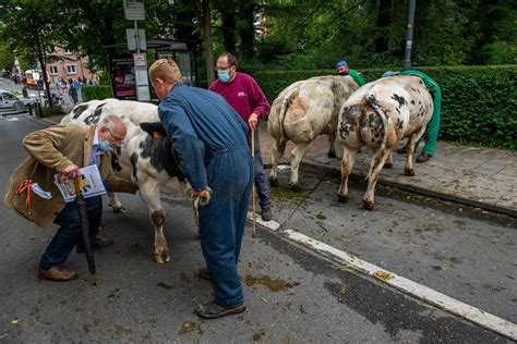 Gaia Hekelt Aanpak Jaarmarkt In Jette Bruzz