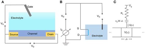 The Schematic Configuration Of Oect Sensor A And Its Equivalent Download Scientific Diagram
