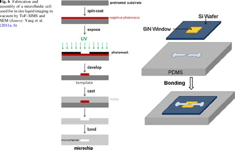fabrication and assembly of a microfluidic cell used for in situ liquid
