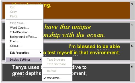 Subtitle Display