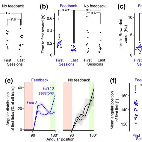feedback enables accurate spatial anticipation and detection of the