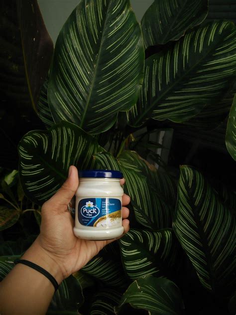 Puck Cream Cheese Spread Selai Keju Arab G Lazada Indonesia