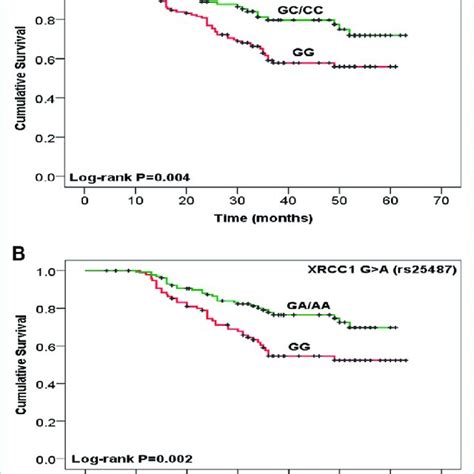 Kaplan Meier Function For Overall Survival After Chemoradiotherapy Download Scientific