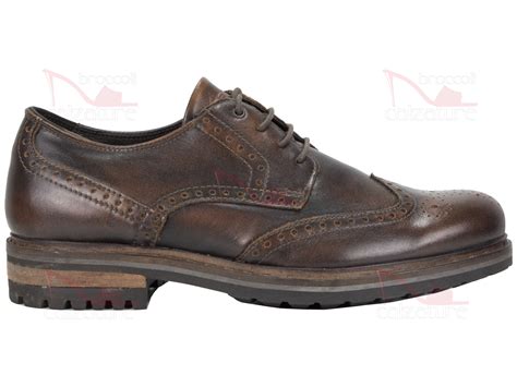 Zen Age Broccolistore