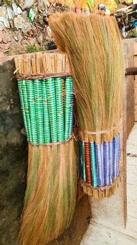 Grass Jigel Rani At Rs 55piece In Madhurawada Id 2853941931491