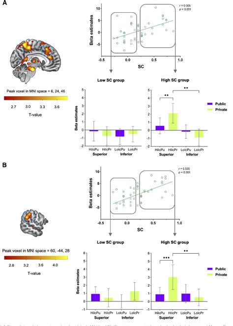Figure 6 From Distinctive Roles Of Medial Prefrontal Cortex Subregions