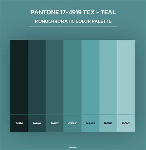 Pantone 17 4919 Tcx Teal Color Palettes