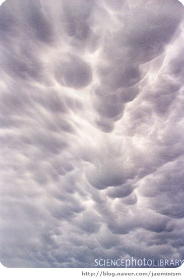 구름의 종류 네이버 블로그