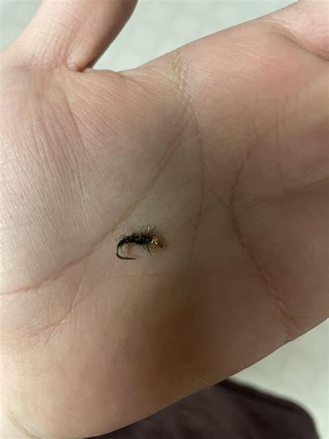 First Tie Any Pointers Rflytying
