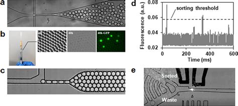 Workflow Of The Droplet Based Microfluidic Screening A Droplet Download Scientific Diagram