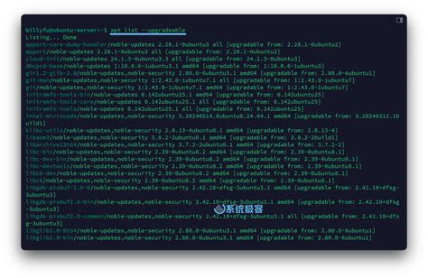 linux apt 命令实战教程：ubuntu、debian、mint 用户必备指南 系统极客