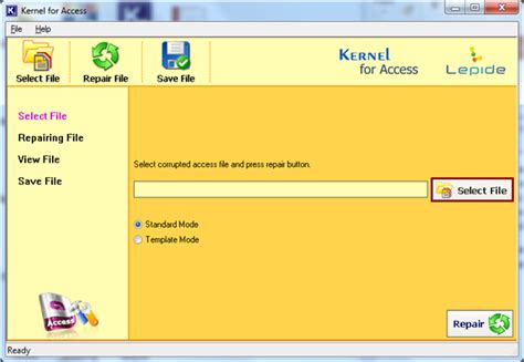 how to convert the text data type to proper case in microsoft access