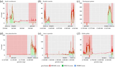 Transcriptional Status Of Wdr93 Read Coverage Of Rna Seq Data From