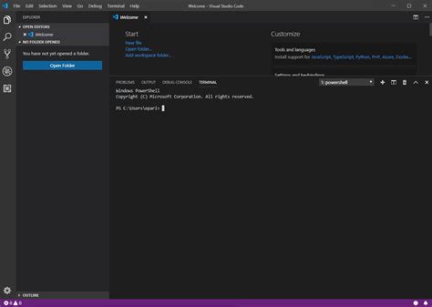 integrated terminal doesn t draw properly on open · issue 75123