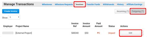 Editing Invoices Project Freelancer Support