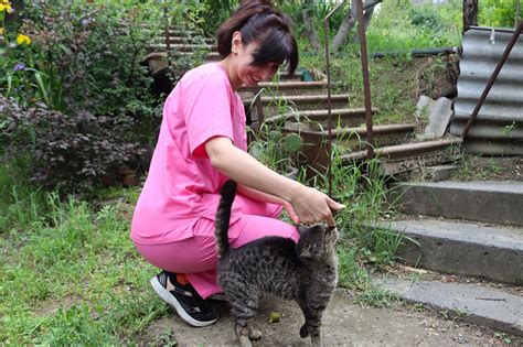 ცხოველთა 🫴🏼🐾 თქვენი ცხოველი თქვენი პასუხისმგებლობაა 🧑🏽‍💼👩🏽‍💼 პროგრამა კარდაკარ შინაური